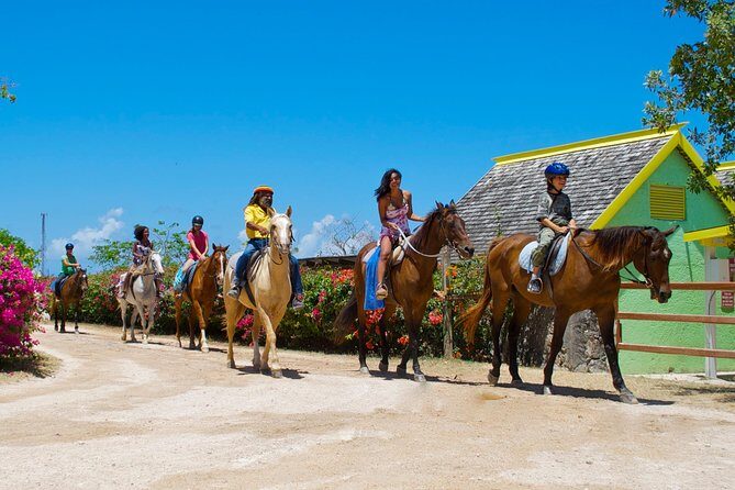 Sand n Saddle Horseback Ride & Swim Tour from Runaway Bay - What to Expect During the Ride