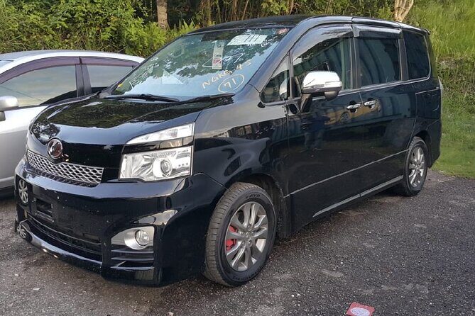 Sandals Southcoast Private Airport Transfer - Who Should Consider This Service?