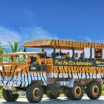 Santo Domingo: Higüey City Tour with Basilica & Market Visit - The Value of This Tour