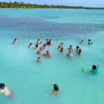 Santo Domingo: Isla Saona Day Trip with Lunch & Catamaran - Transportation and Group Size