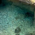 Santo Domingo: Los Tres Ojos & Swim in an Exclusive Spot - What Makes This Tour Stand Out?