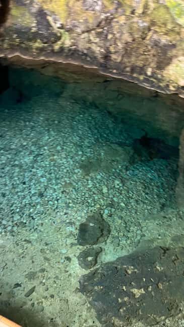 Santo Domingo: Los Tres Ojos & Swim in an Exclusive Spot - What Makes This Tour Stand Out?