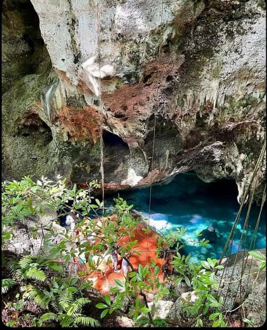 Santo Domingo: Private VIP Tour  City Tour + Beach with Lunch - The Sum Up