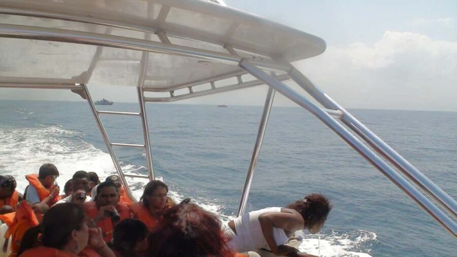 Santo Domingo: Whale Watching and Barcadi Island Full Day - What Makes This Tour Stand Out