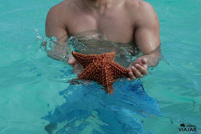 Saona Bayahibe Island Day Trip - FAQ