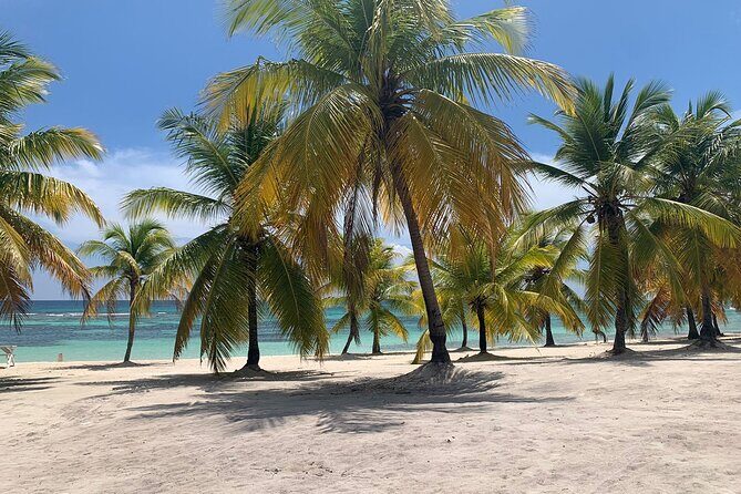 Saona Island 3 Beaches - Transport, Timing, and Group Size