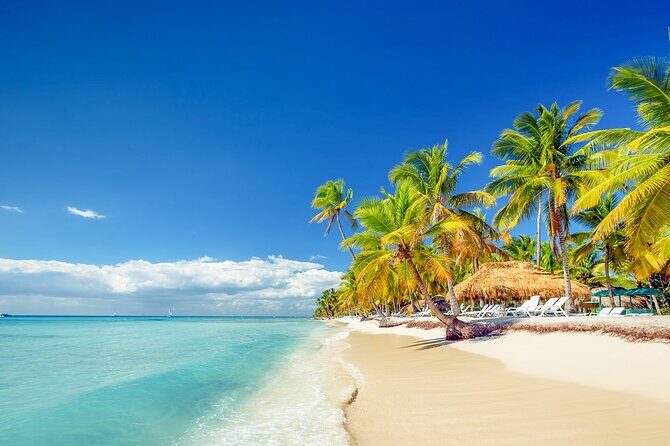 Saona Island a Paradise from Punta Cana All Inclusive Guided Tour - The Journey to Paradise: Speedboat Excursion