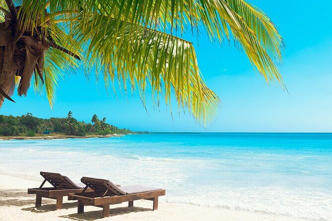 Saona Island Adventure From Santo Domingo - Who Will Love This Tour?