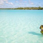 Saona Island Caramaran Adventure from Punta Cana With Lunch - Who Should Consider This Tour?