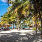 Saona Island Cruise & Private Beach - What’s Not Covered or Might Be a Surprise