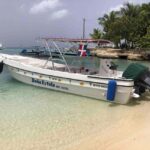 Saona Island Day for Marella Discovery (La Romana Port) - Return Journey and Practicalities