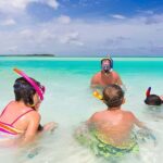 Saona Island Day Tour from Punta Cana with Lunch & Open Bar - What Makes This Tour Stand Out?