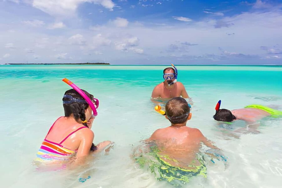 Saona Island Day Tour from Punta Cana with Lunch & Open Bar - What Makes This Tour Stand Out?
