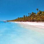 Saona Island Day Trip From Cap Cana with Lunch and Open Bar Included - The Experience in Detail