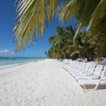 Saona Island Day Trip From Punta Cana with Lunch and Open Bar - The Itinerary in Detail