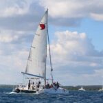 Saona Island Day Trip + Lobsters Included - Overview of the Tour Experience