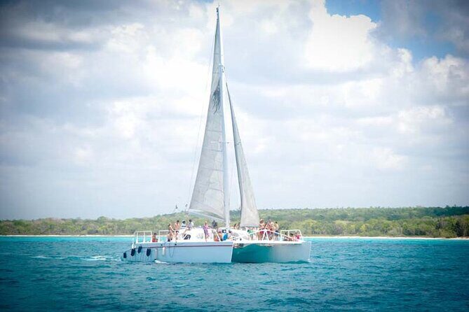 Saona Island Day trip with lunch and transport included. - Who Will Enjoy This Tour?