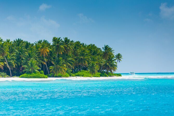 Saona Island Escape Caribbean Paradise Awaits - Journey to Saona Island