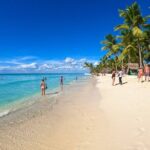 Saona Island Excursion: Caribbean Paradise from Punta Cana - Who Should Consider This Tour?