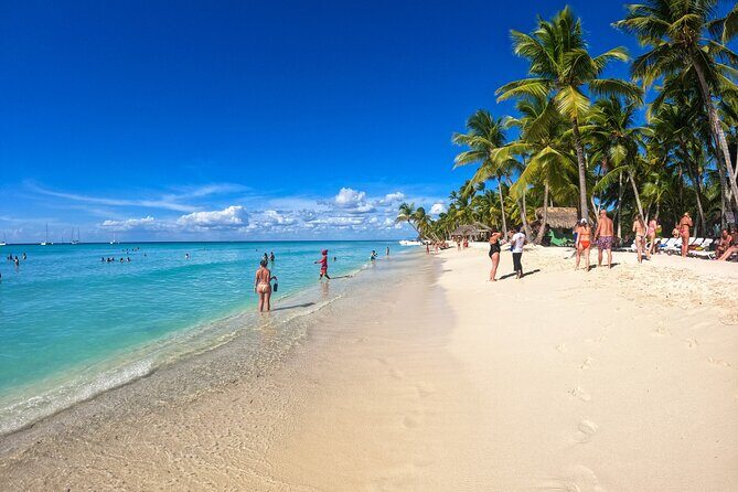 Saona Island Excursion: Caribbean Paradise from Punta Cana - Who Should Consider This Tour?