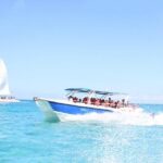 Saona Island Excursion from Bayahibe - The Overall Experience: Weighing the Pros and Cons
