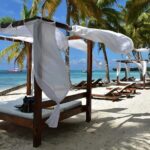 Saona Island From Punta Cana - Why This Tour Offers Real Value