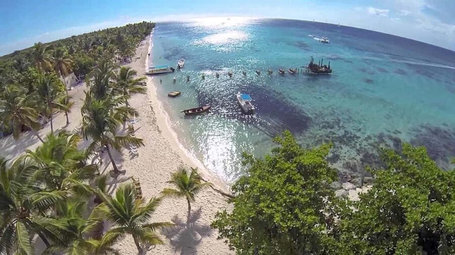 Saona Island from Punta Cana Day Trip with Open Bar - Practical Tips for Your Saona Island Trip