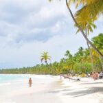 Saona Island from Punta Cana with Transportation and Lunch Included - Analyzing the Tour’s Value and What It Truly Offers