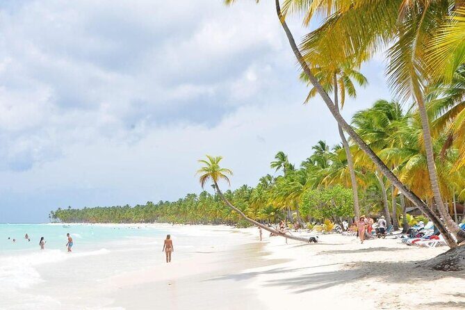 Saona Island from Punta Cana with Transportation and Lunch Included - Analyzing the Tour’s Value and What It Truly Offers