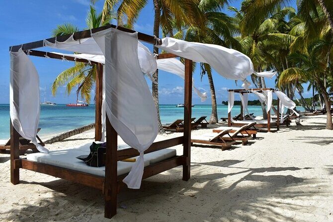 Saona Island From Punta Cana - Why This Tour Offers Real Value