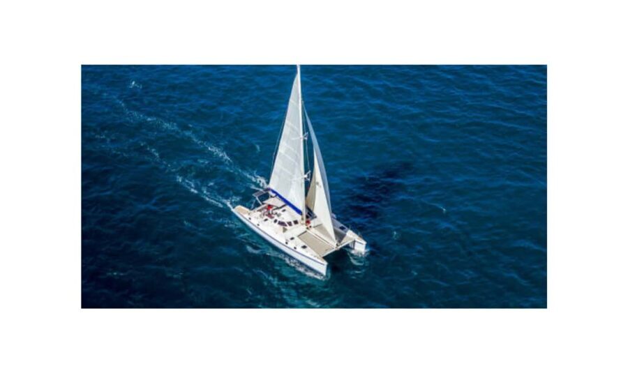 Saona Island From Santo Domingo With Catamaran, Food & Drink - Practical Tips for Your Trip