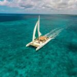 Saona Island: Full-Day Boat Tour All Inclusive - What We Love About This Tour