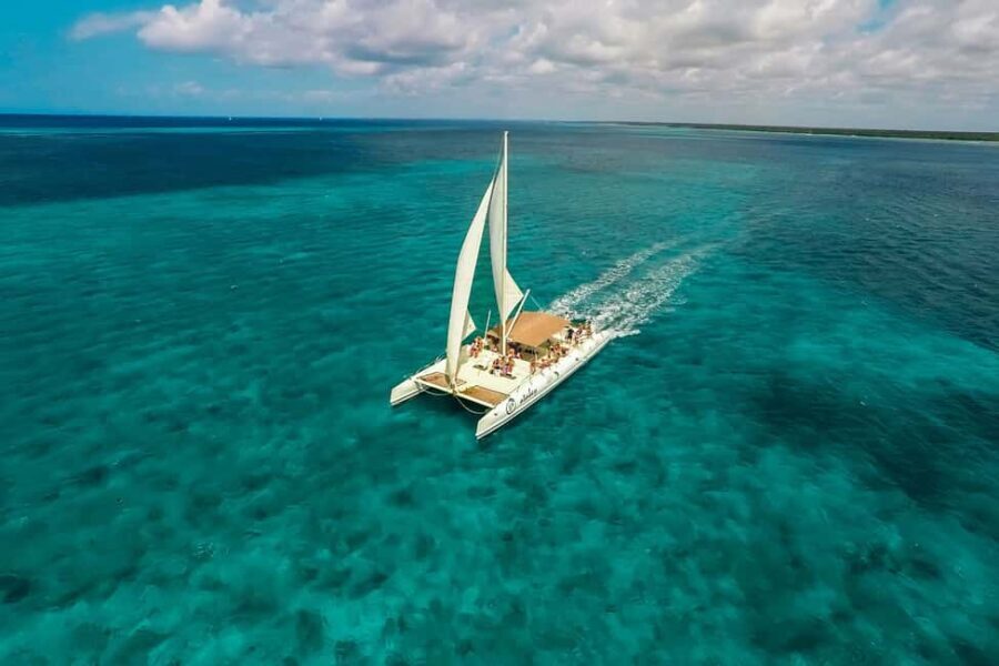 Saona Island: Full-Day Boat Tour All Inclusive - What We Love About This Tour