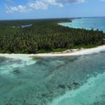 Saona Island: Full-day Catamaran Tour - Small Group - Real Experiences from Travelers