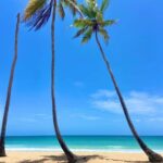 Saona Island Full-Day Cruise, Natural Pool and Lunch - What Makes This Tour Stand Out?