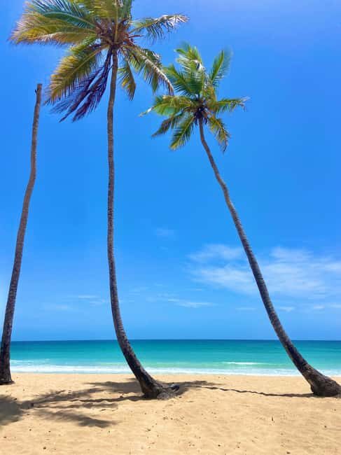 Saona Island Full-Day Cruise, Natural Pool and Lunch - What Makes This Tour Stand Out?