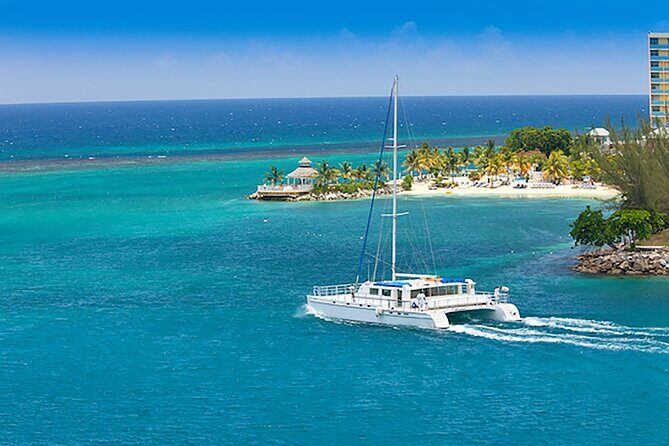 Saona Island Full Day Excursion from Punta Cana - What Do Travelers Think?