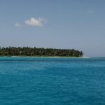 Saona Island Full Day From Punta Cana - Who Is This Tour Best For?