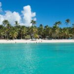 Saona Island Full-Day Tour from Boca Chica with Pickup - Starting with a Smooth Ride: Transport and Timing