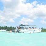 Saona Island Full-Day Tour from Las Terrenas with Lunch - The Journey to Saona Island: What to Expect