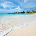 Saona Island Full-Day Tour from Punta Cana Bayahibe All Inclusive - Key Points