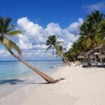 Saona Island Full-Day Tour from Santo Domingo - Transportation and Group Size: What to Expect