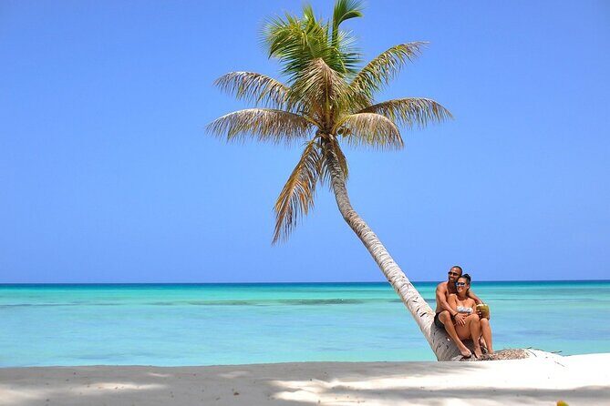 Saona Island Full Day Tour Lunch and Transportation Included - Who Should Consider This Tour?