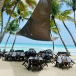 Saona Island Full Day Tour with Buffet Lunch, Paella, & Open Bar - Who Would Enjoy This Tour?