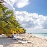 Saona Island Full-Day Tour with Lunch from Punta Cana - The Sum Up: Who Should Consider This Tour?