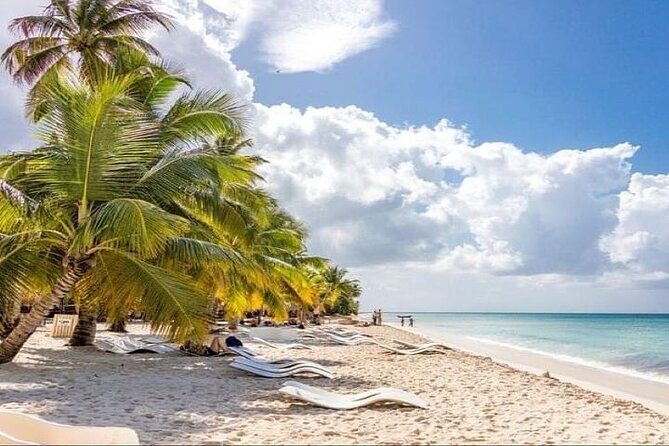 Saona Island Full-Day Tour with Lunch from Punta Cana - The Sum Up: Who Should Consider This Tour?