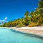 Saona Island: Full-Day Tour with Speedboat and Catamaran - Why This Tour Might Be Perfect for You