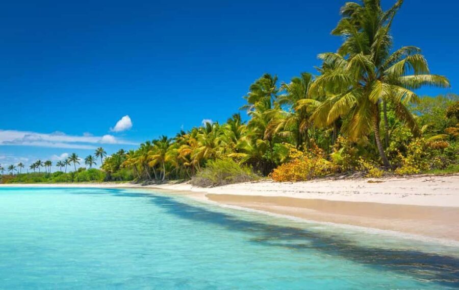 Saona Island: Full-Day Tour with Speedboat and Catamaran - Why This Tour Might Be Perfect for You