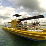 Saona Island in a semi-submarine and snorkeling. - What the Reviews Say
