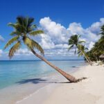 Saona Island, memorable all-inclusive experience, from Santo Domingo. - Authentic Experiences and Practical Insights